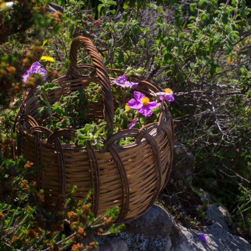 The Cataclysm of Thera: How a Volcano Eruption Led to the End of the ...